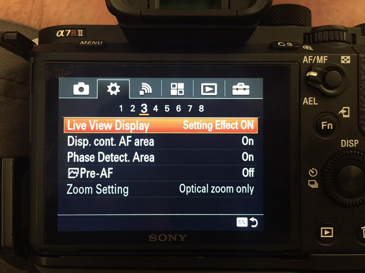 EVF: composing vs reviewing |﻿ Sony Alpha Full Frame Cameras