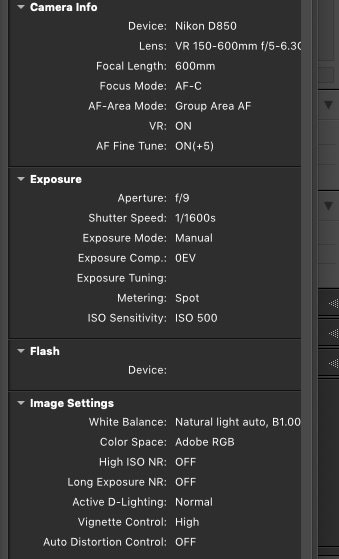 Visualize EXIF data from ACR file - Sony Alpha Full Frame Cameras ...