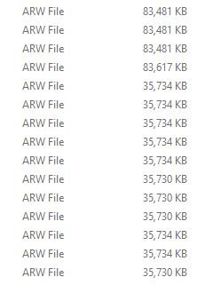 Lower Resolution RAW Files Problem |﻿ General Discussions about Sony Alpha